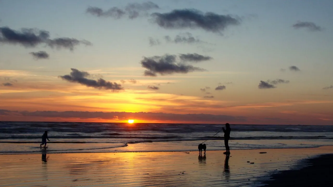 Hotel Overview - The Collins Inn Official Website - Seaside Cottages in ...